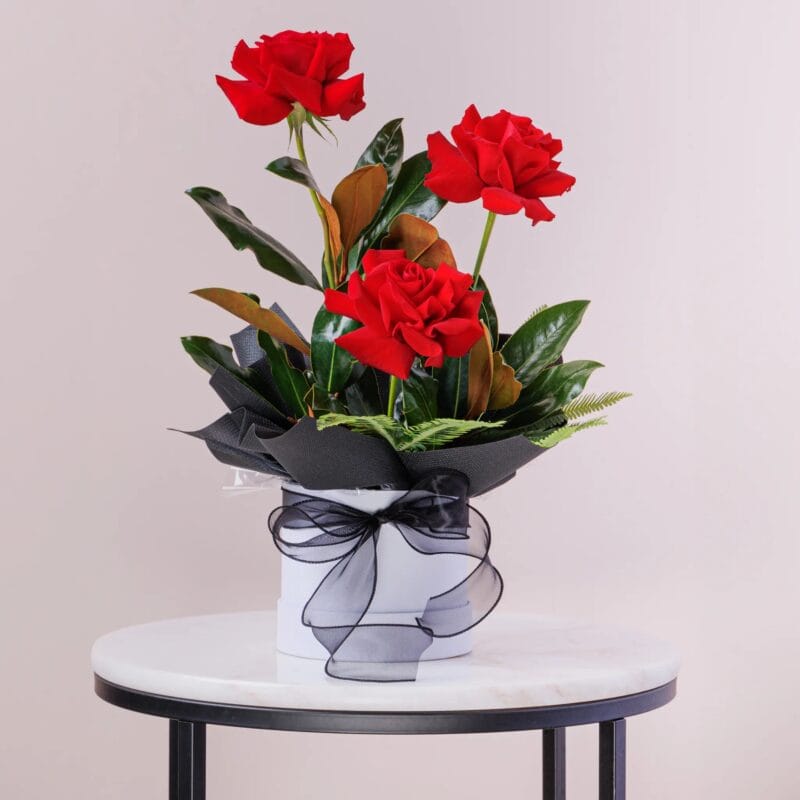 Eternal Flames of Passion Box - St Albans Flower Market